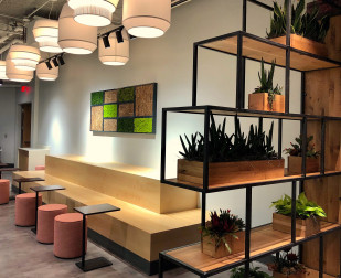 Interior Plants | Interiorscapes, Inc